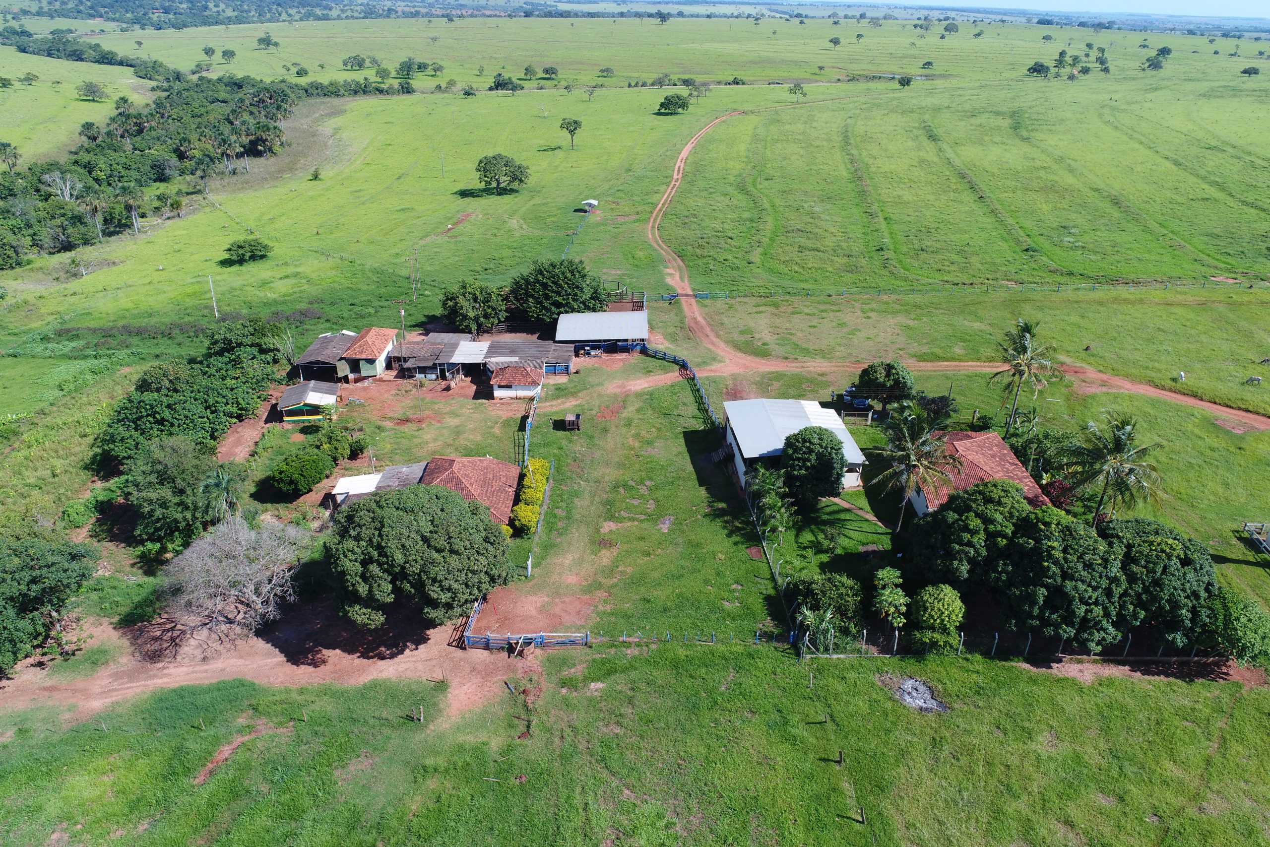Avaliação de propriedades rurais - Daniel Aleixo